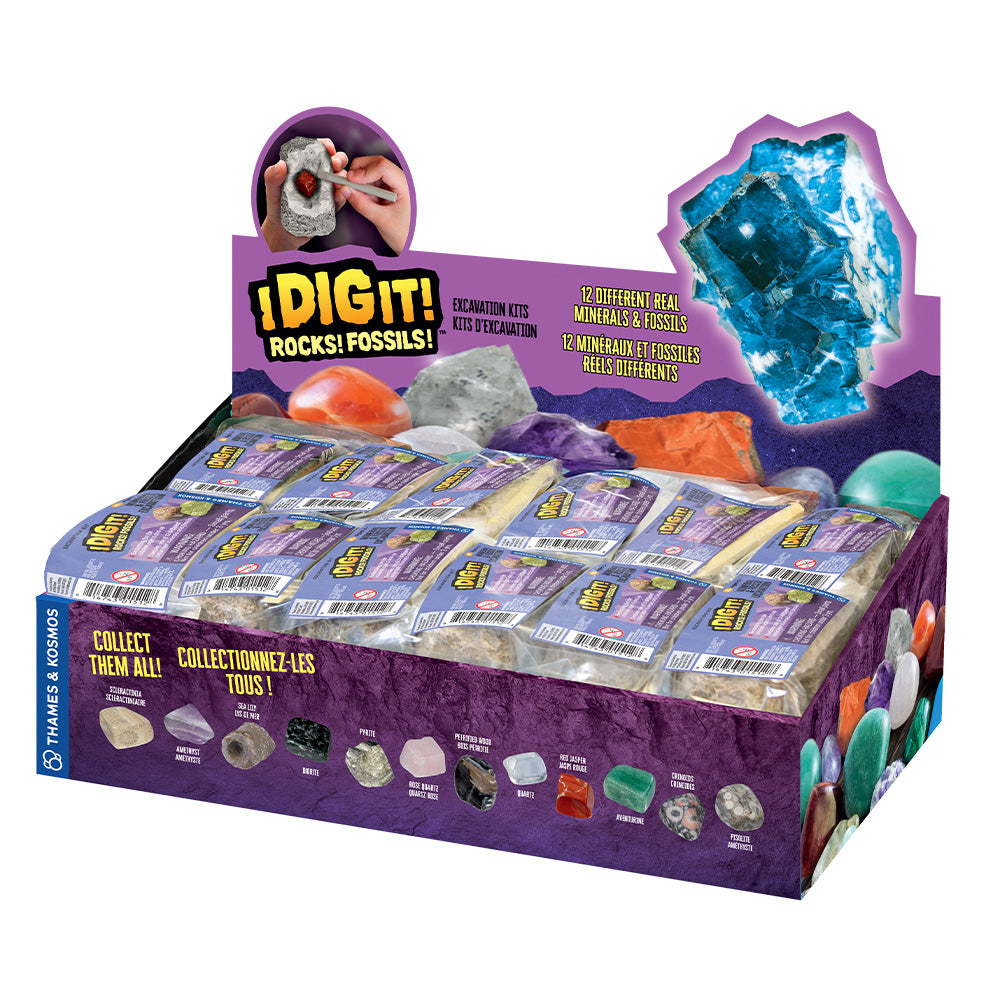 I Dig It! 24 Rocks & Fossils Excavations | Gift Set, Party Favors ...