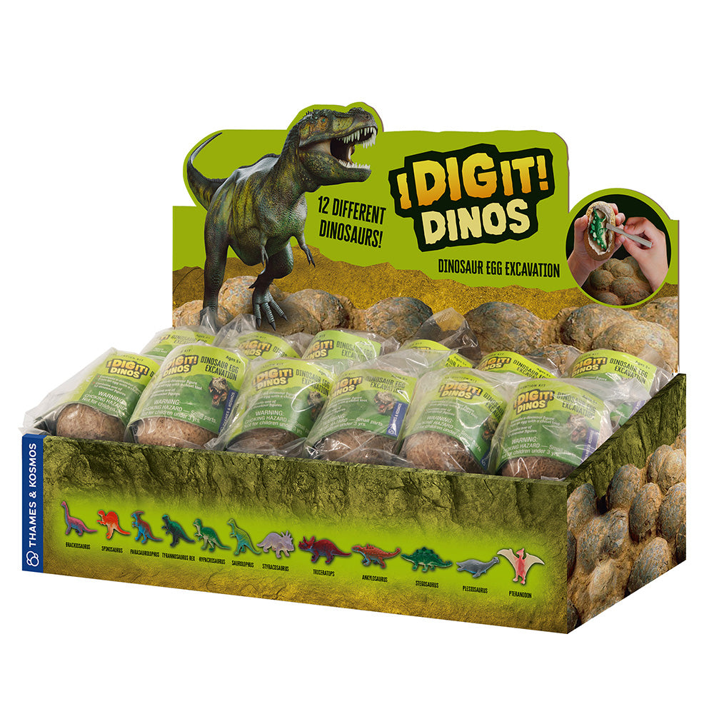 I Dig It! 24 Dino Egg Excavations | Gift Set, Party Favors – Thames ...