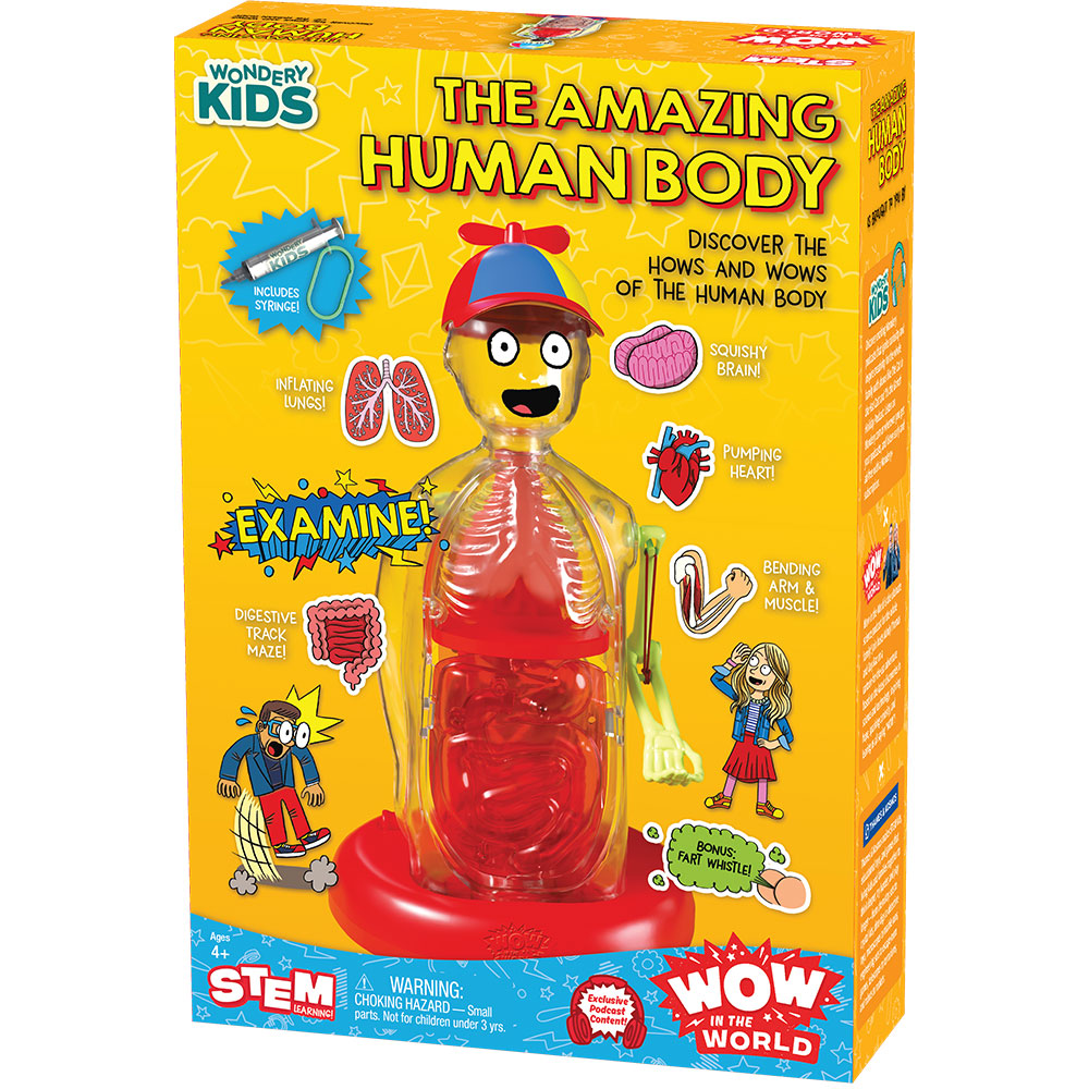 Wow in the World: The Amazing Human Body - COMING FALL 2025 – Thames ...