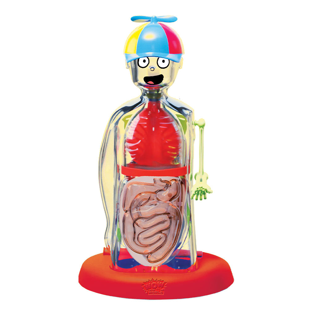 Wow in the World: The Amazing Human Body - COMING FALL 2025 – Thames ...