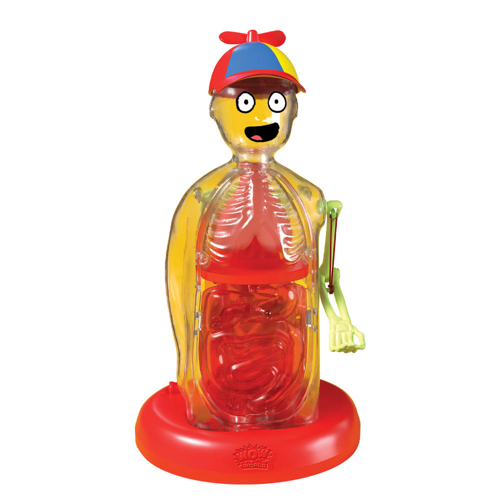 Be Amazing National Geographic Human Body Model For Kids That Glows In ...