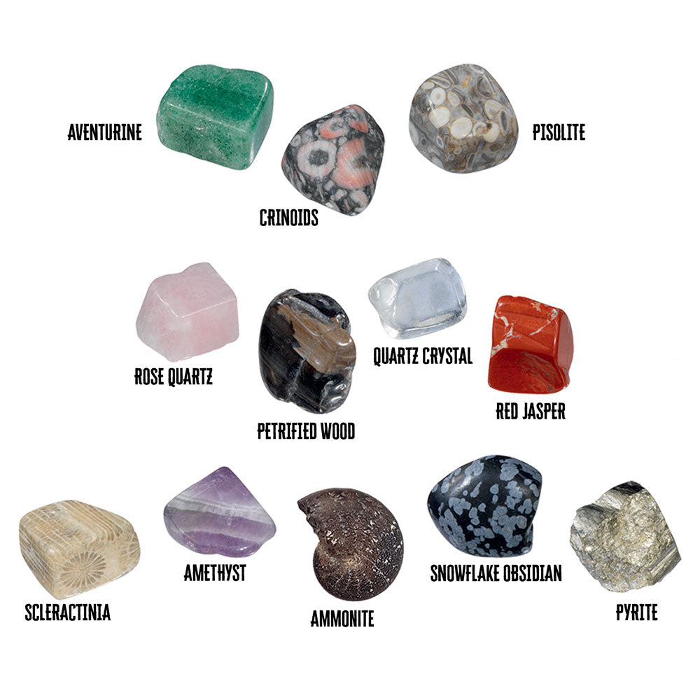 I Dig It! 24 Rocks & Fossils Excavations | Gift Set, Party Favors ...