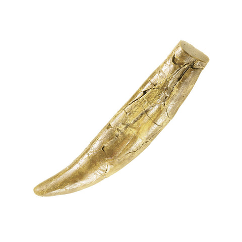 Science Toys & Kits – Page 3 – Thames & Kosmos